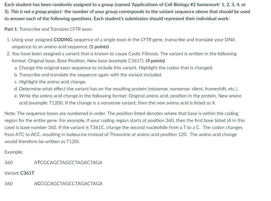 Solved Following are Exon sequences from the CFTR gene. Each | Chegg.com