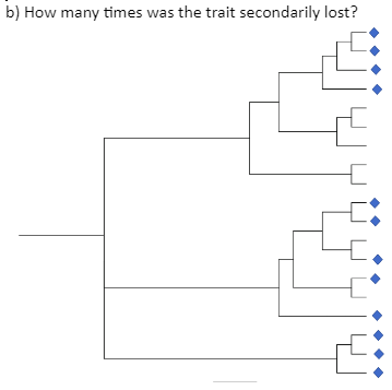 Solved b) ﻿How many times was the trait secondarily lost? | Chegg.com