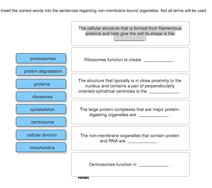 Solved Insert the correct words into the sentences regarding | Chegg.com