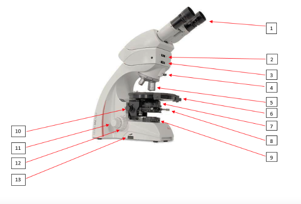 Solved Label the PLM diagram | Chegg.com