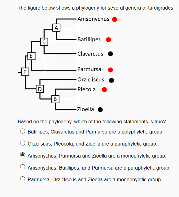 Solved The figure below shows a phylogeny for several genera | Chegg.com
