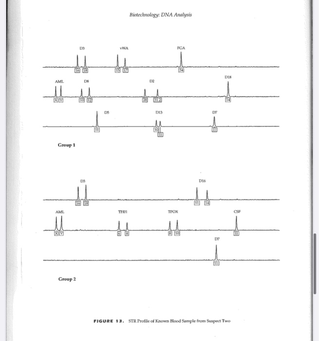 5 of 12 Biotechnology: DNA Analysis A CRIMINAL CASE | Chegg.com