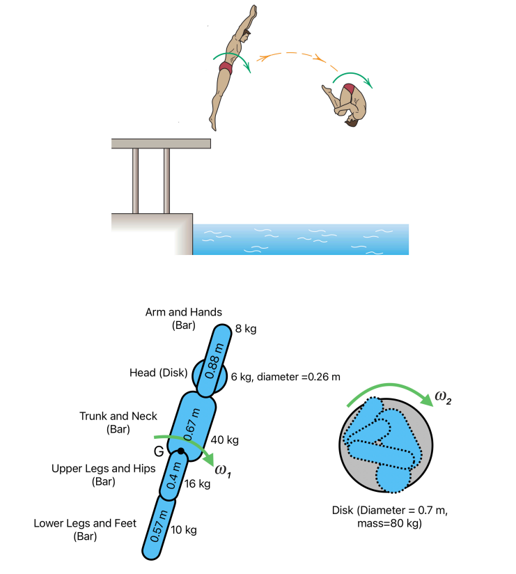 Solved Just after leaving the platform, the diver’s fully | Chegg.com
