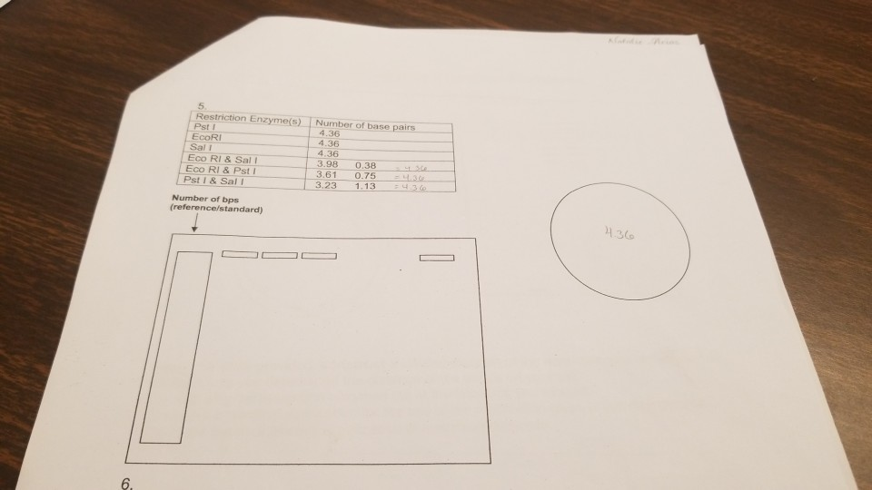 Solved Using the circle provided, construct a labeled | Chegg.com
