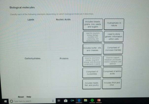 Solved Biological molecules Classify eech of the folowing | Chegg.com