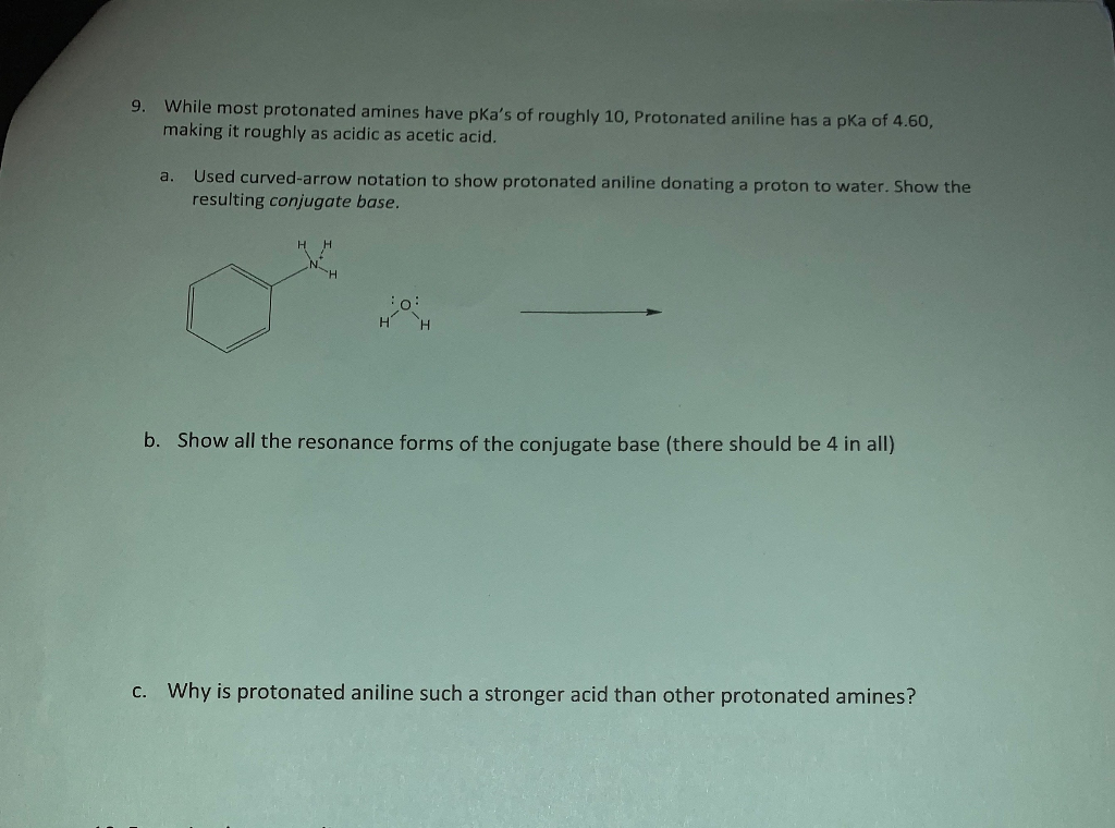 Solved While most protonated amines have pKa's of roughly | Chegg.com