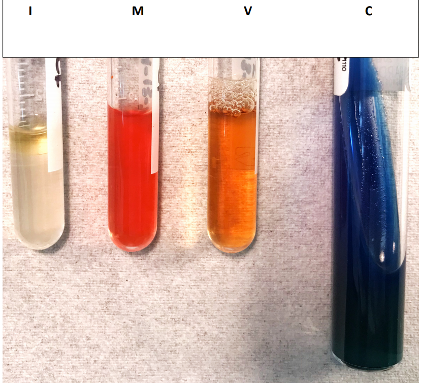 Solved I M C 1110 | Chegg.com