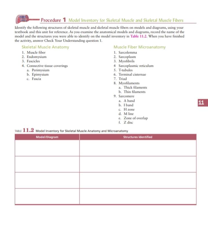 Procedure 1 Model Inventory for Skeletal Muscle and | Chegg.com