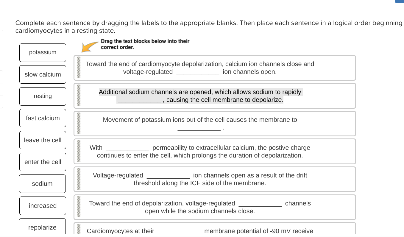 Solved Complete each sentence by dragging the labels to the | Chegg.com