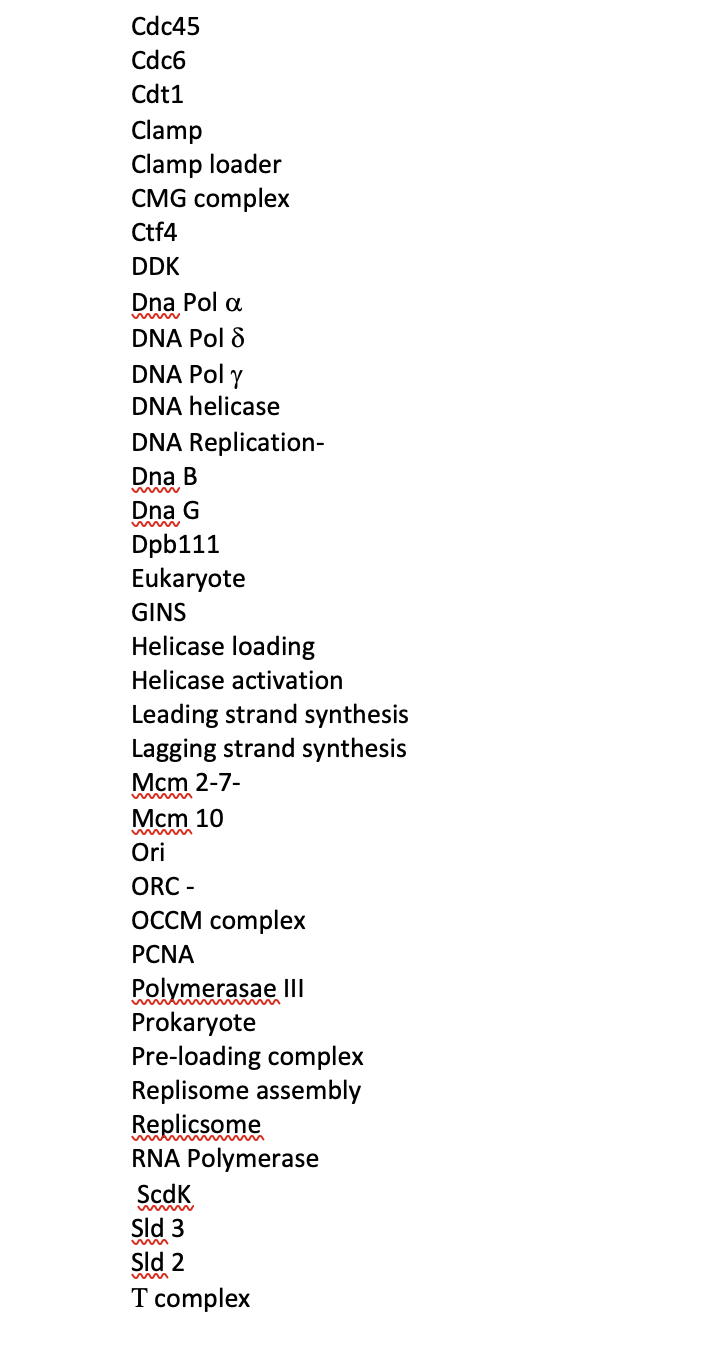 Solved Cdc45 Cdc6 Cdt1 Clamp Clamp loader CMG complex Ctf4 | Chegg.com