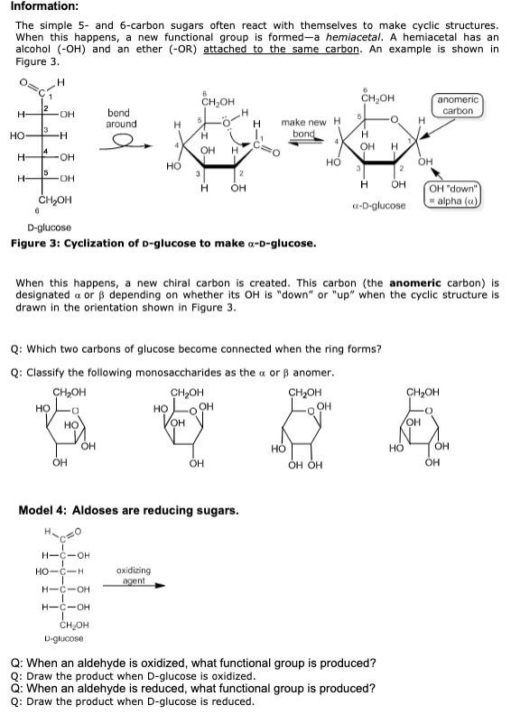 Solved CHM1360 Practice Worksheet (Monosaccharide) Model 1: | Chegg.com