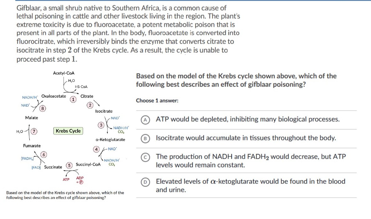 Solved Gifblaar, a small shrub native to Southern Africa, is | Chegg.com