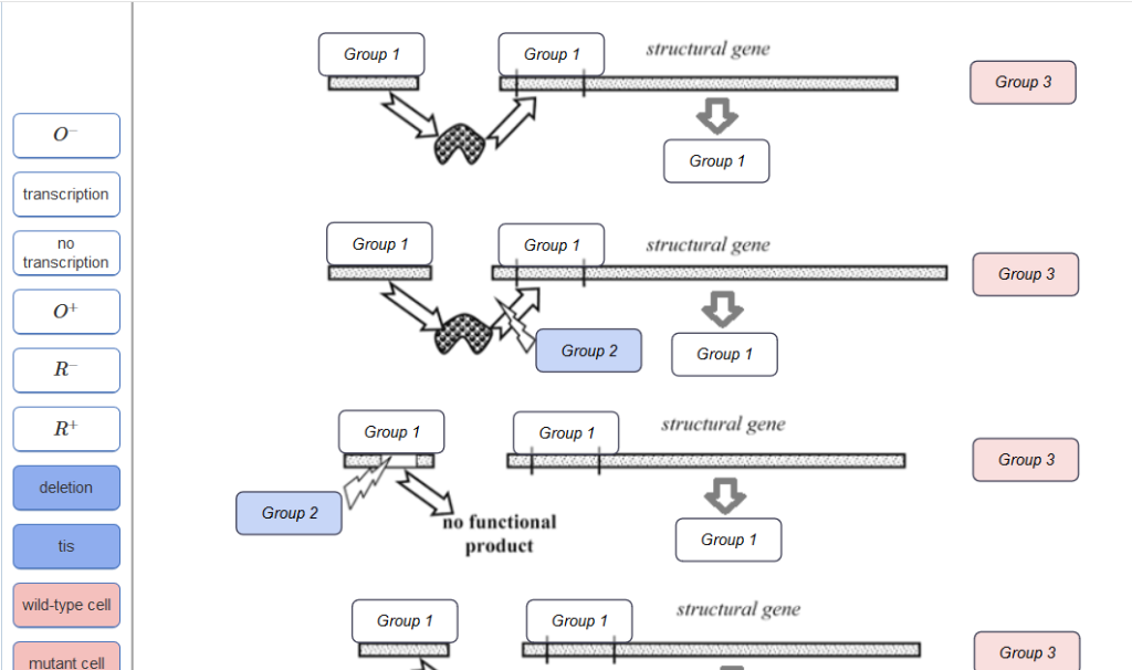 Solved A bacterial operon is responsible for the production | Chegg.com