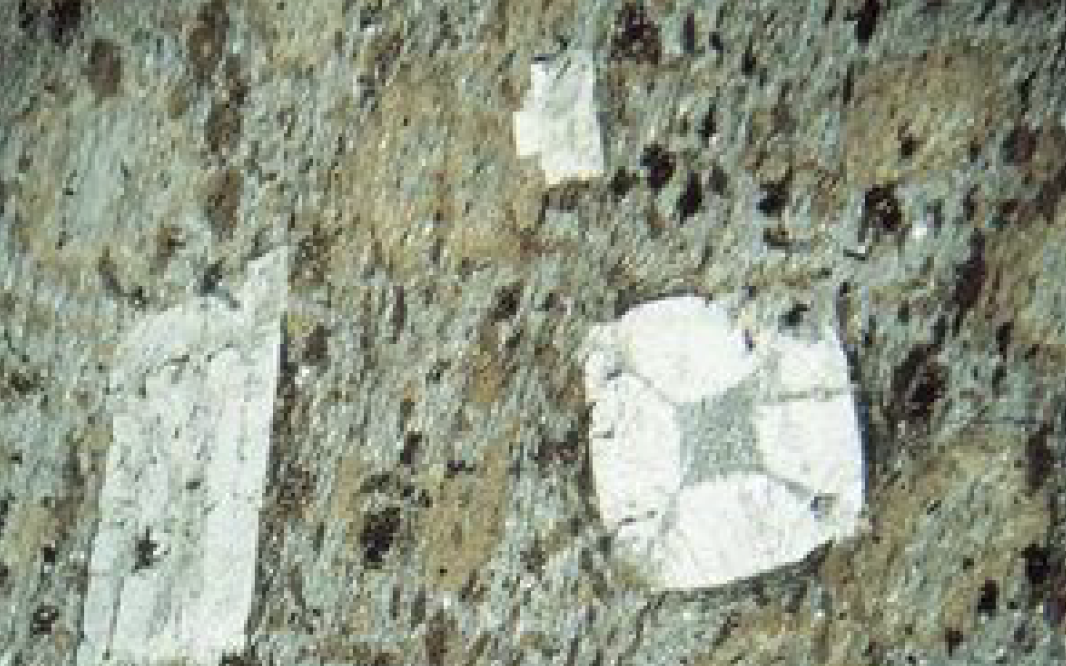 Solved observing the following | Chegg.com