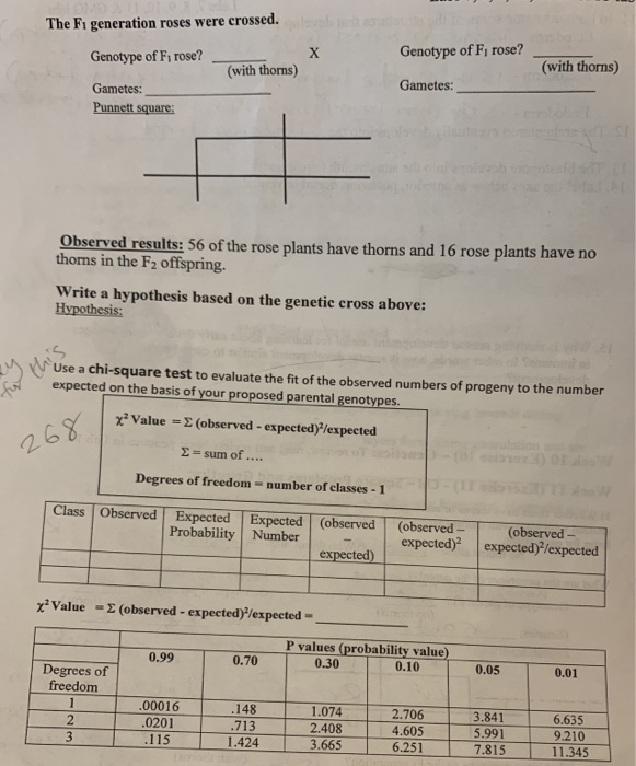 The Fi generation roses were crossed. Genotype of Fi | Chegg.com
