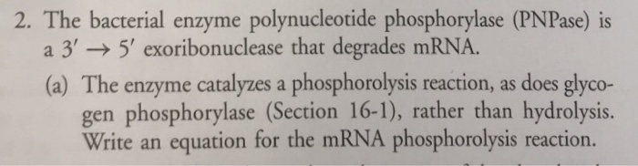 Solved 2. The bacterial enzyme polynucleotide phosphorylase | Chegg.com