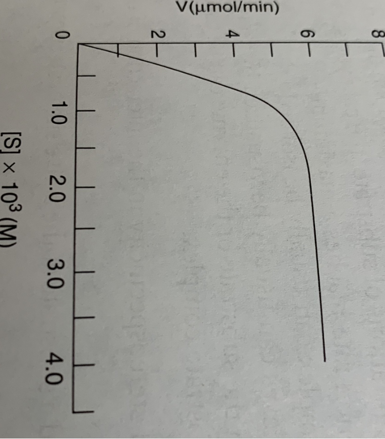 Solved How do you calculate km in this instance? | Chegg.com