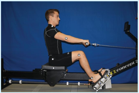Solved The right leg of an athlete on a rowing machine can | Chegg.com