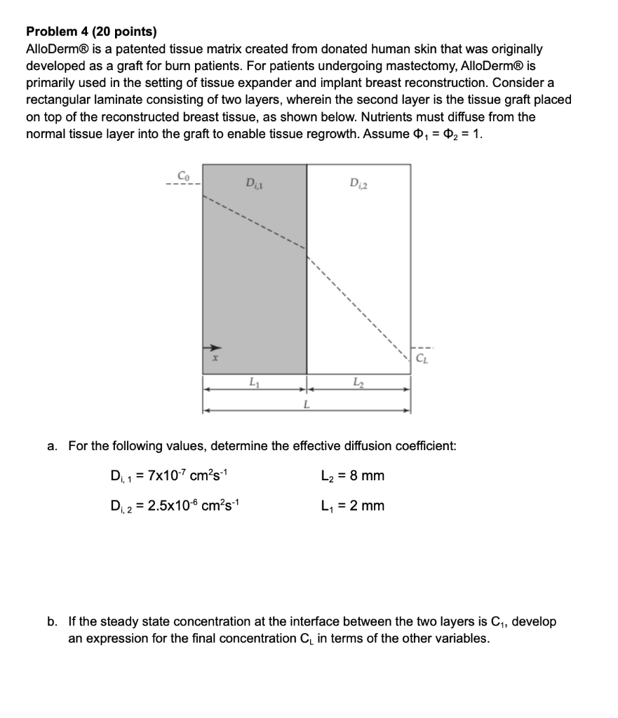 Solved Problem 4 (20 points) AlloDerm® is a patented tissue | Chegg.com