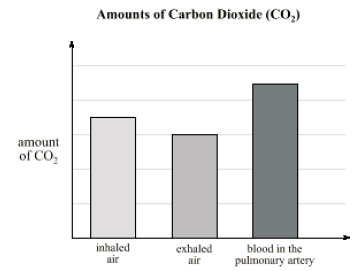 Solved The graph below is incorrect because the amount of | Chegg.com