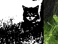 Each image-processing function that modifies its | Chegg.com