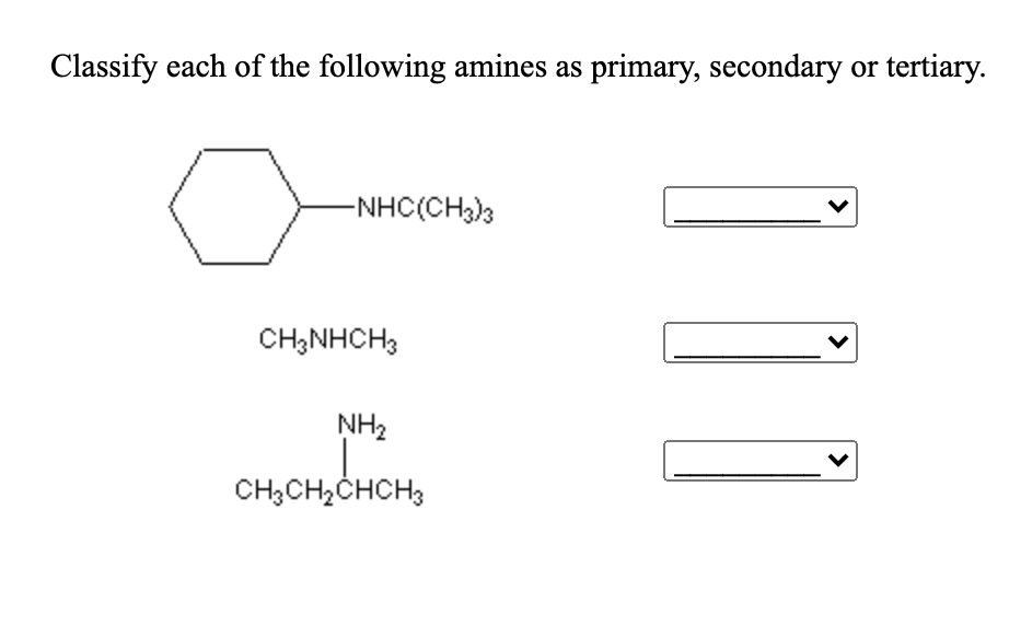 Solved Classify each of the following amines as primary, | Chegg.com
