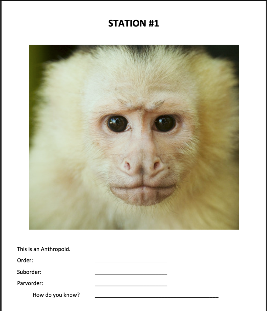 Solved For each station: 1. Investigate and carefully | Chegg.com