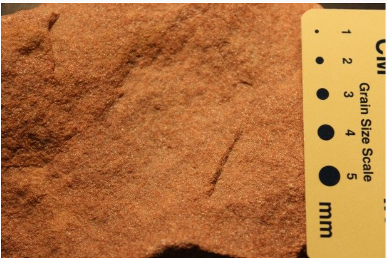 Solved Grain Size Scale 12345 mmChoose the correct answer. | Chegg.com