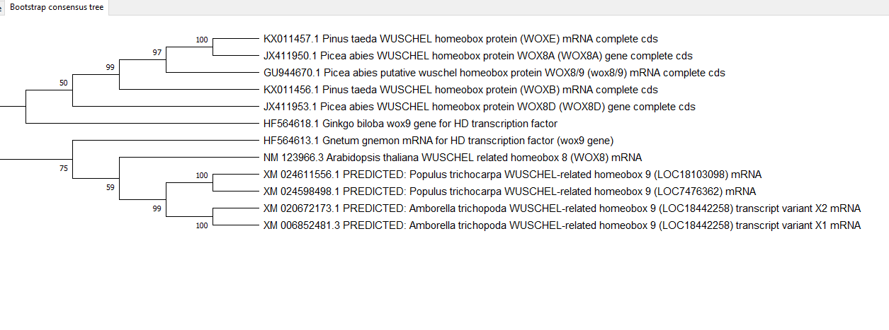 Original Tree Bootstrap consensus tree 99 50 59 100 | Chegg.com