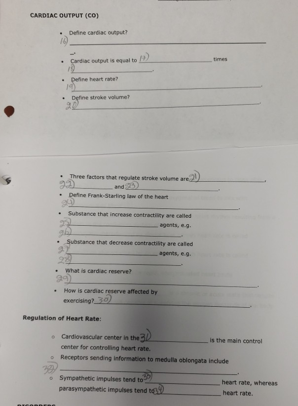 Solved CARDIAC OUTPUT (CO) • Define cardiac output? • | Chegg.com