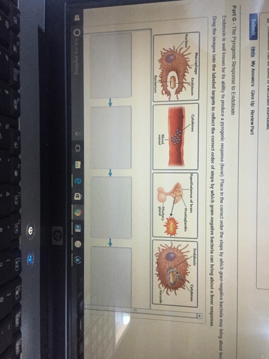Part G - The Pyrogenic Response to Endotoxin | Chegg.com