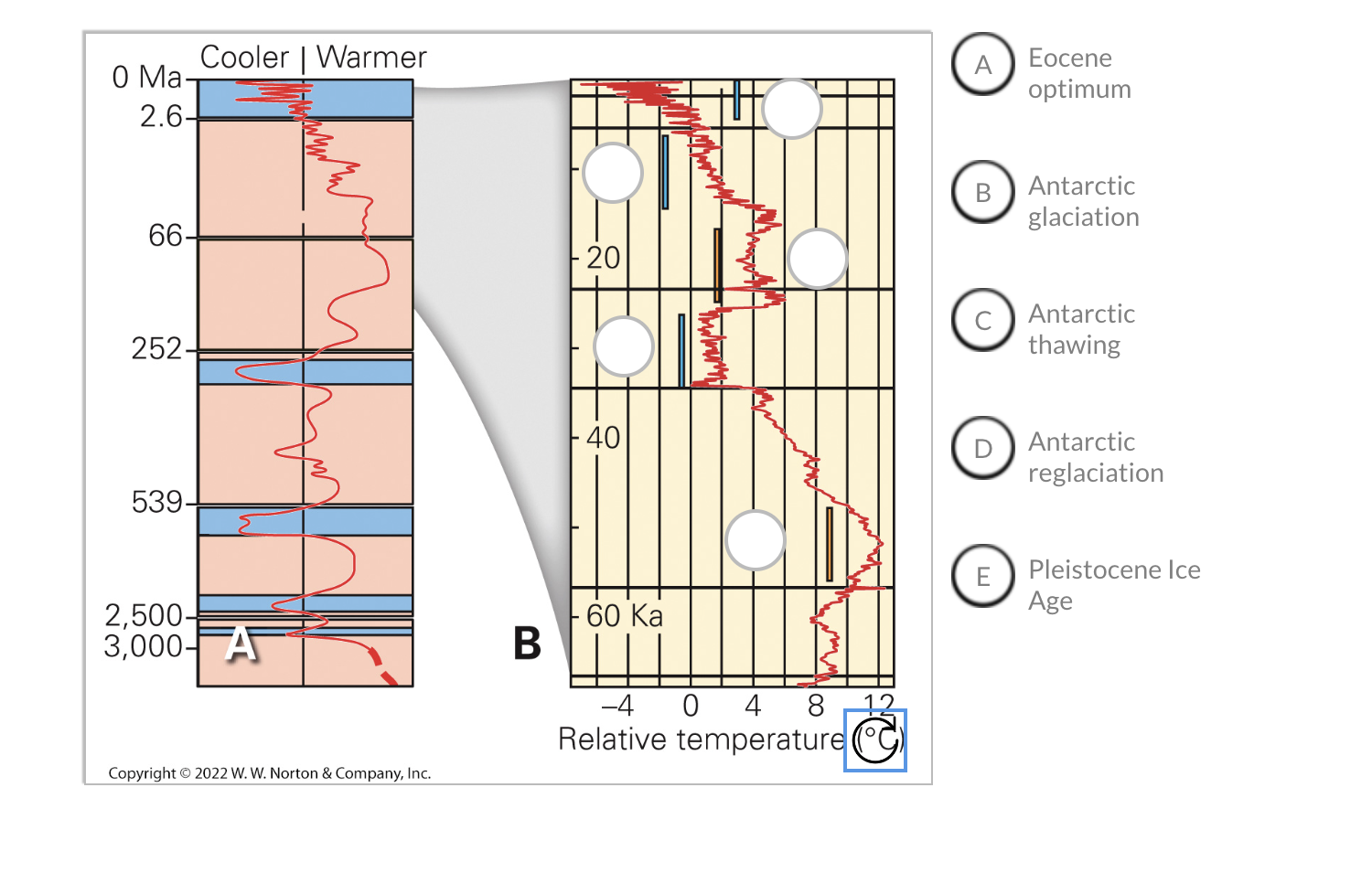 On graph B, label the notable time intervals for | Chegg.com