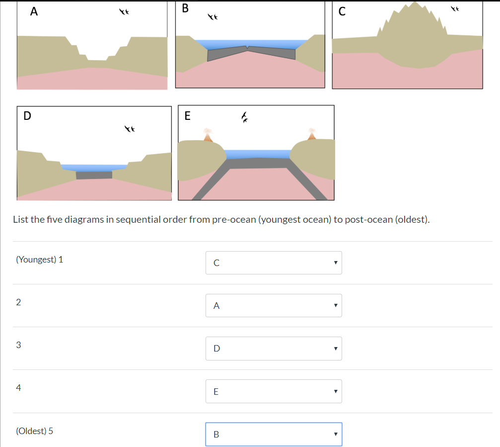 Solved List the five diagrams in sequential order from | Chegg.com