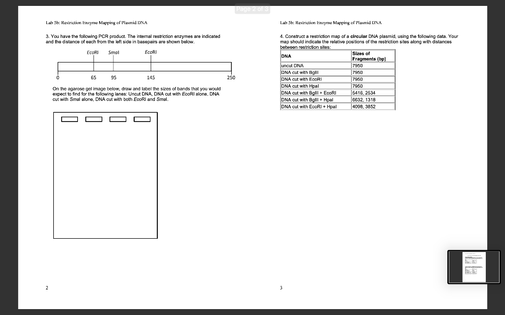 Restriction Mapping Problems 1 Construct A