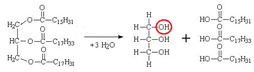 Solved The reaction below shows the breakdown of a | Chegg.com