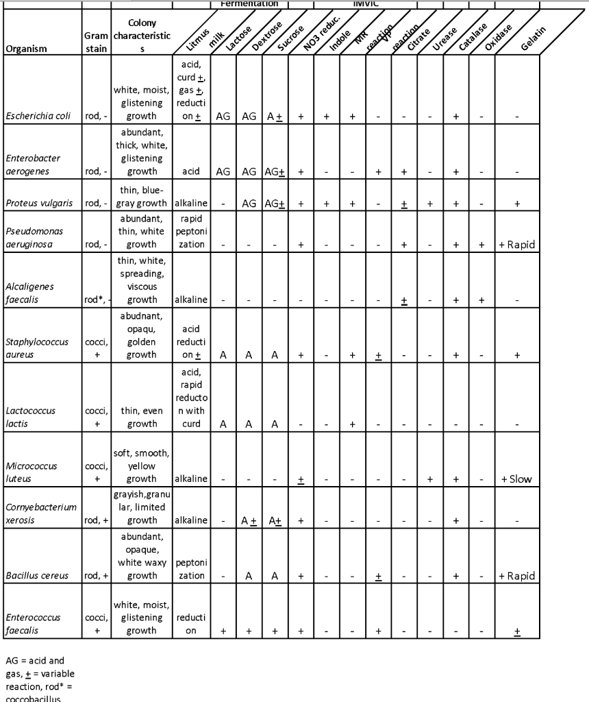 Using the chart, make a dichotomous key. Use the | Chegg.com