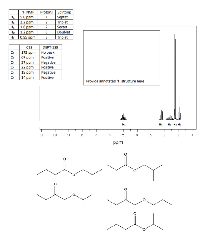 Solved C7H14O2 Determine the correct structure for the | Chegg.com