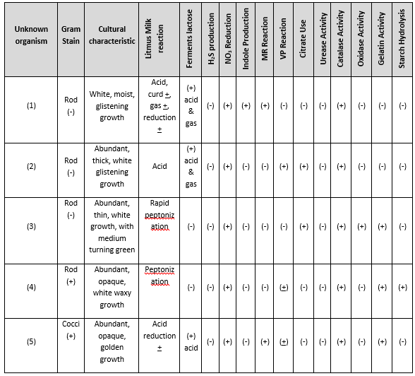 Solved Identifying the unknown bacterial species Possible | Chegg.com