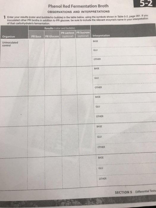 5-2 Phenol Red Fermentation Broth OBSERVATIONS AND | Chegg.com