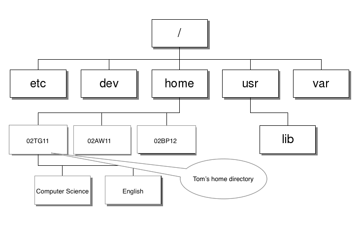 Solved The following file system is commonly seen in a | Chegg.com