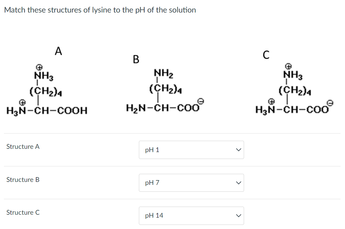 Lysine Structure At Different Ph