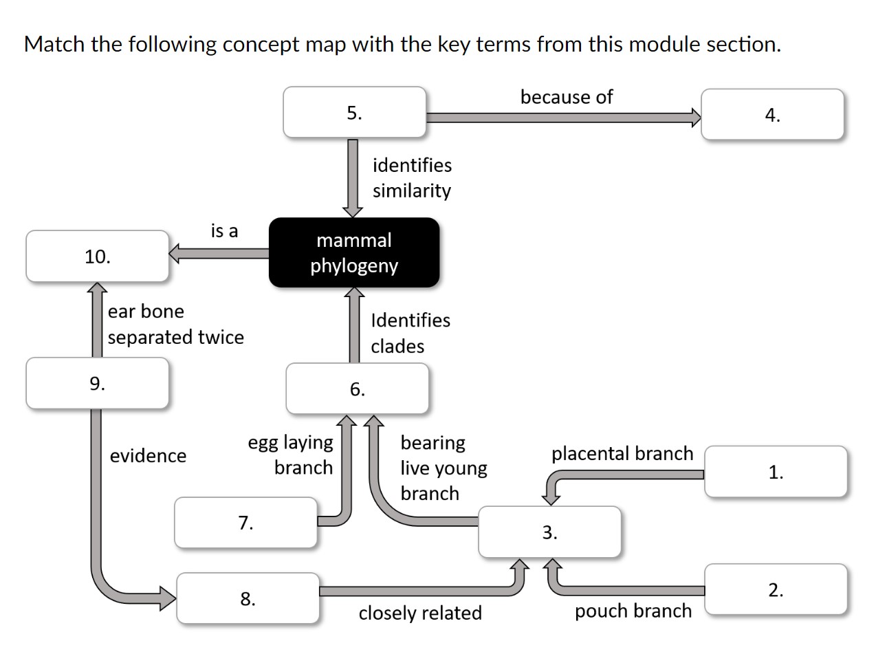 Solved Match the following concept map with the key terms | Chegg.com