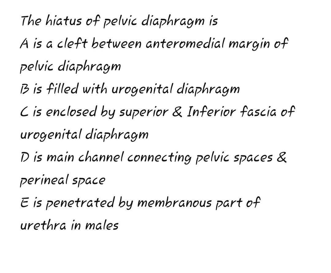 Solved The hiatus of pelvic diaphragm is A is a cleft | Chegg.com