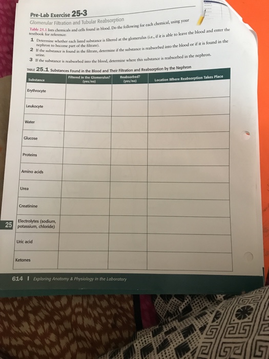 Solved Pre-Lab Exercise 25-3 Glomerular Filtration and | Chegg.com