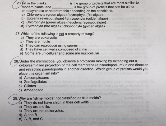 Zooflagellates Microscope