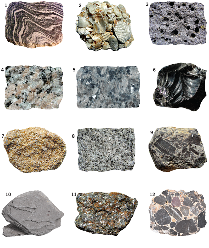 Solved Under each specimen in Fig. A4.4.1, list the textures | Chegg.com
