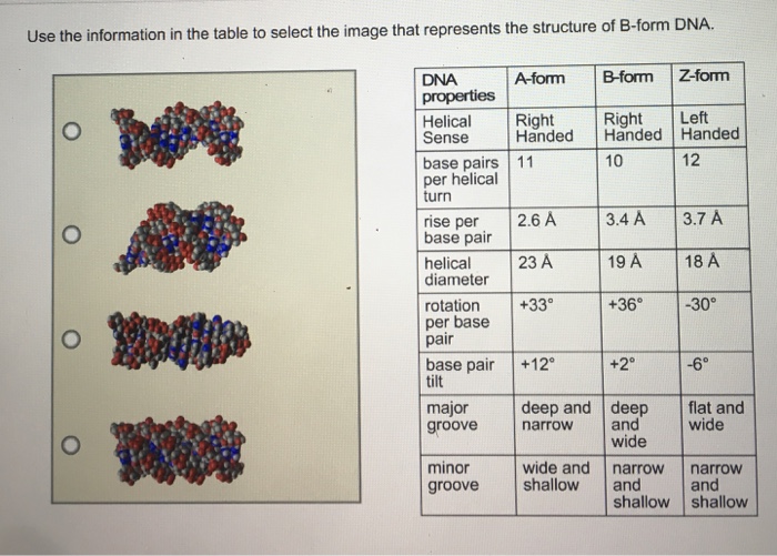 Solved Use the information in the table to select the image | Chegg.com