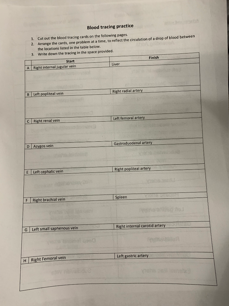Solved Blood Tracing Practice: Reflect the circulation of a | Chegg.com