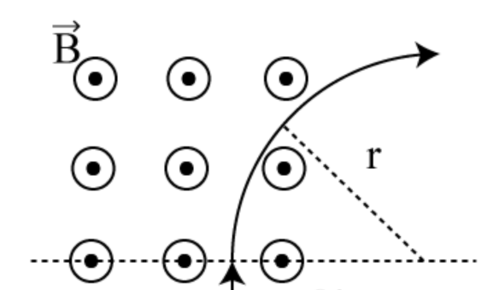 Solved (8%) Problem 8: An alpha particle (consisting of two | Chegg.com
