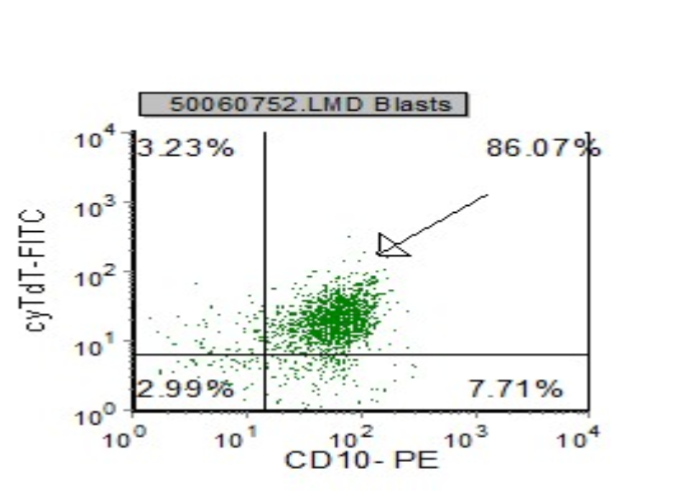 Solved I want to say the error is that the previous sample | Chegg.com